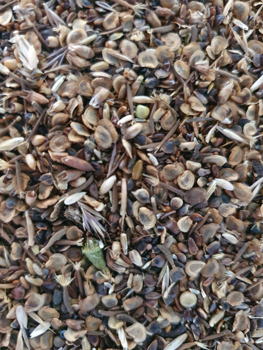 mixes | Goren Farm Seeds