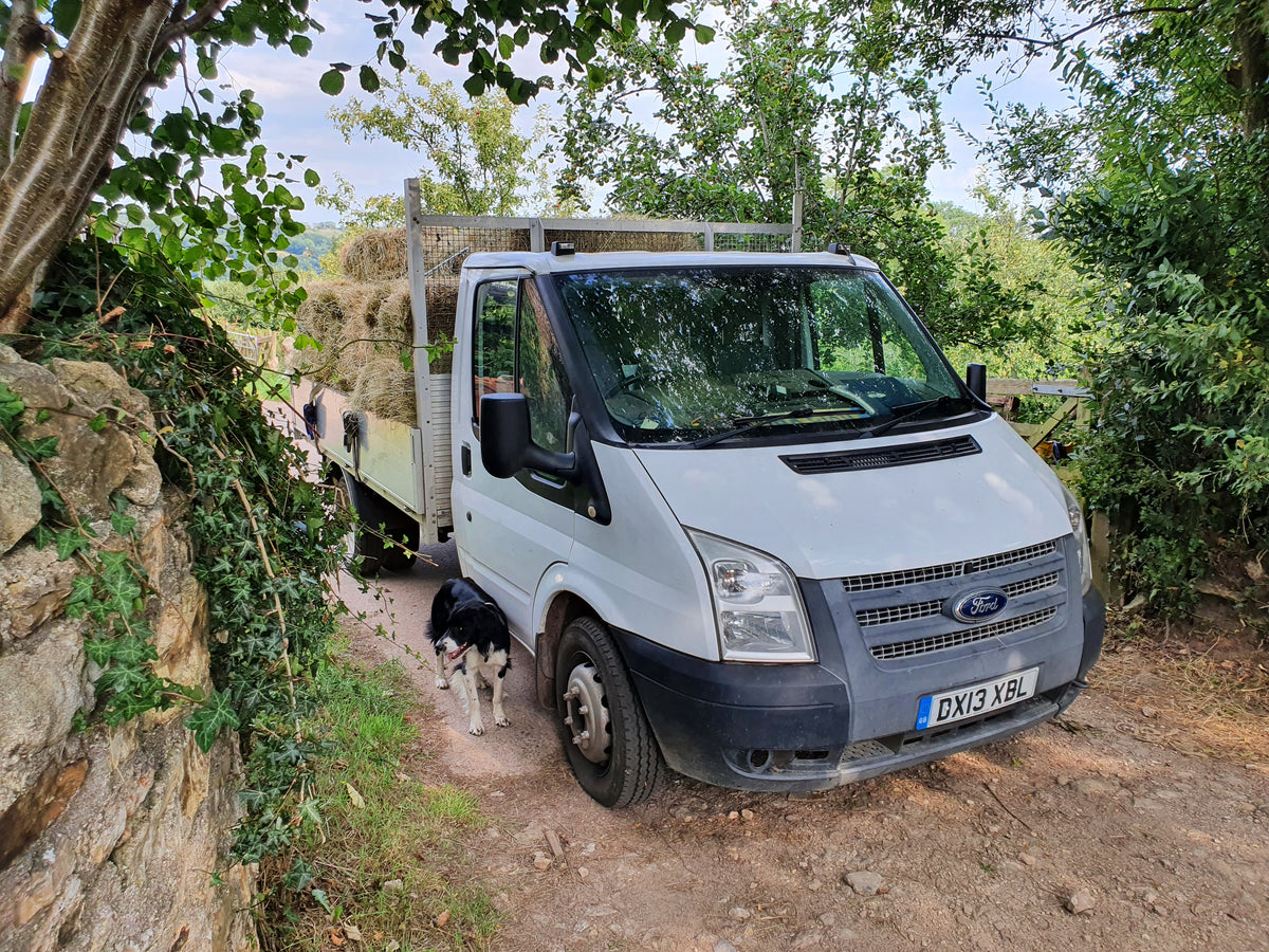 Hay bales | Goren Farm Seeds