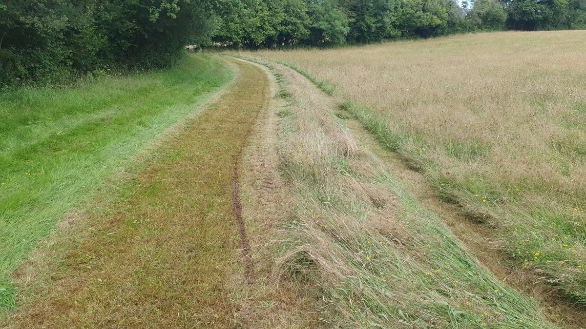 Green hay 1 load delivered.2025 | Goren Farm Seeds